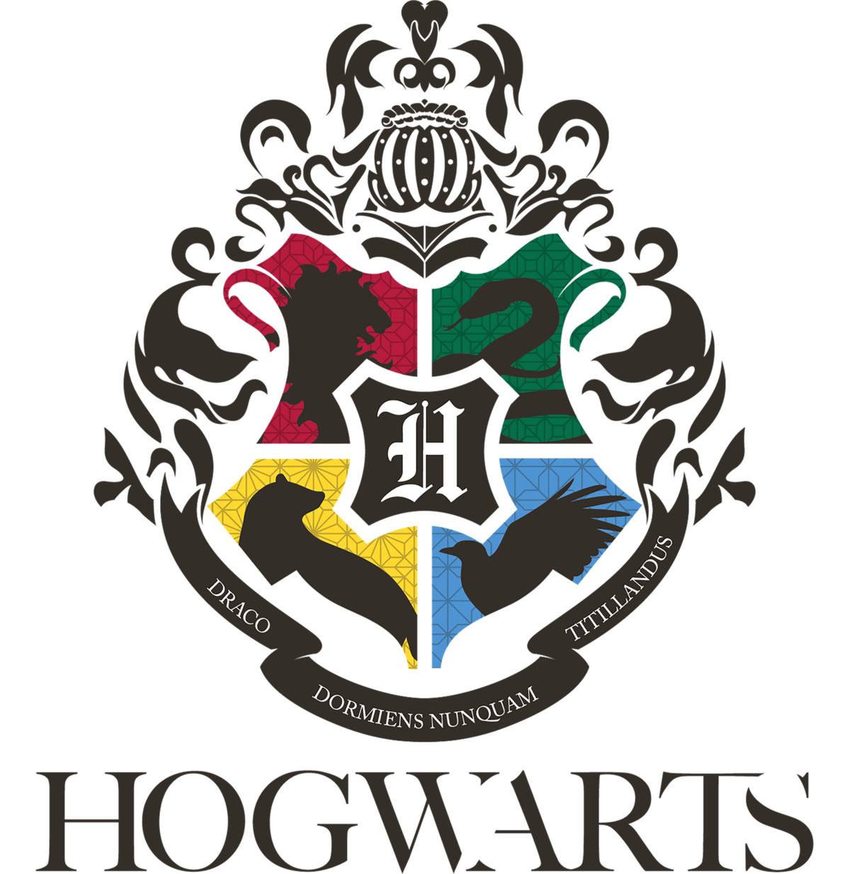 Hogwarts new teacher