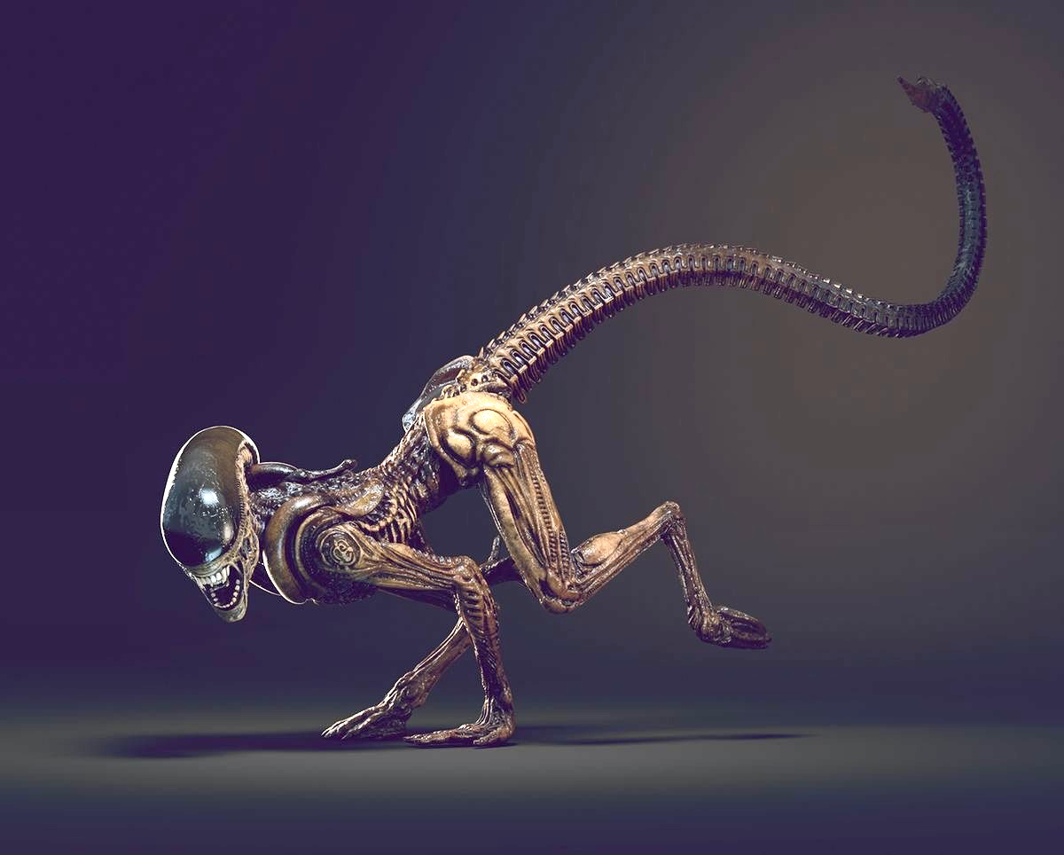 Xenomorph Runner (Dog)