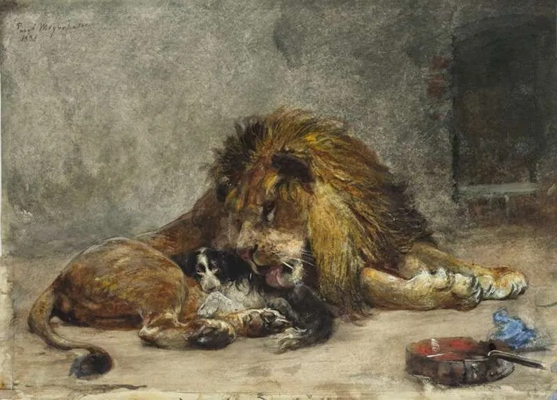 Solar | Lion hybrid