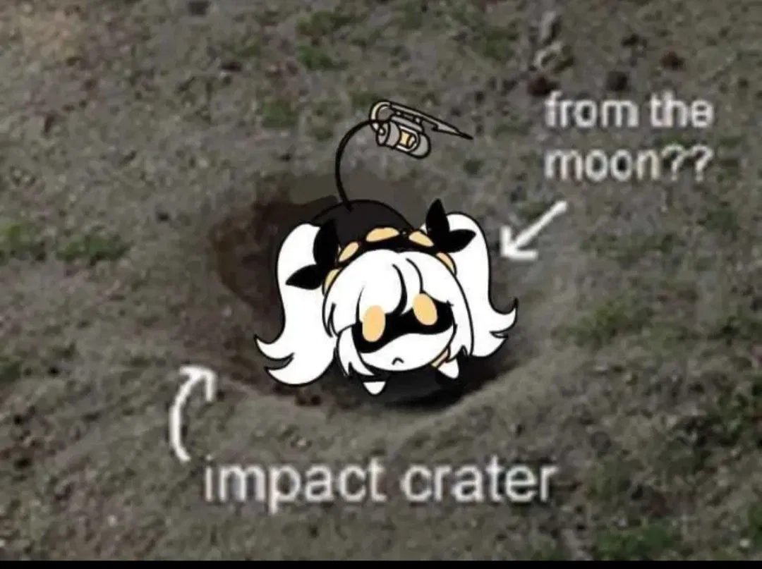 The bot requests are open