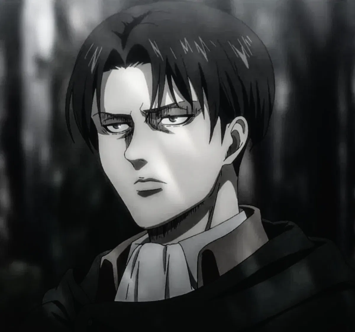 Levi Ackerman