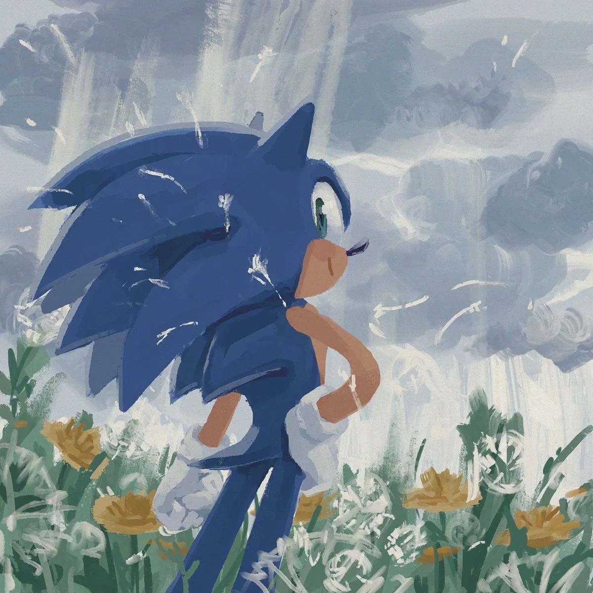 : ̗̀ Sonic The Hedgehog: ̗̀
