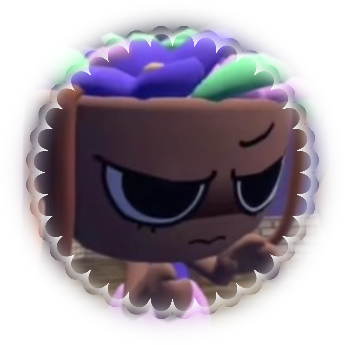 💐🧺 ⊹₊ ⋆ Bassie