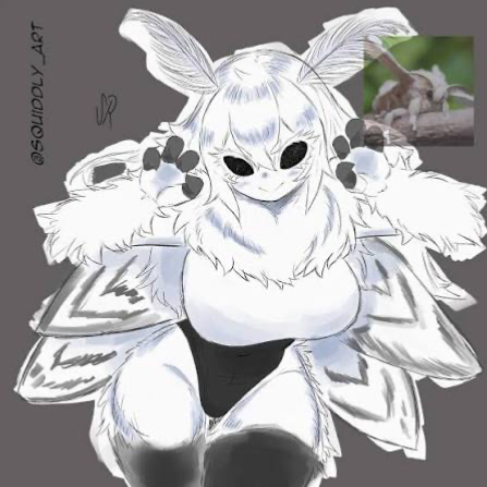 Powder//Cutie Moth