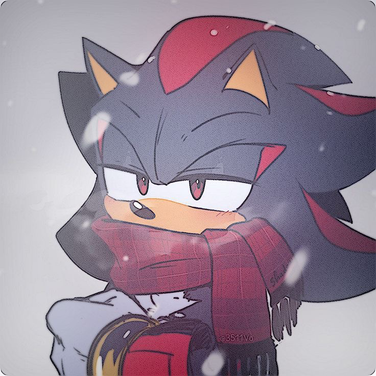 Shadow the Hedgehog .·:*