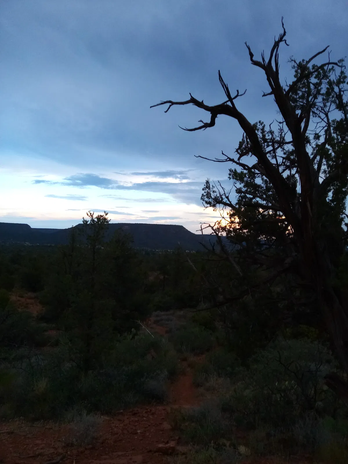 Just a little break from all the gooner bots.