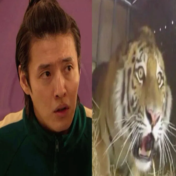 kang daeho