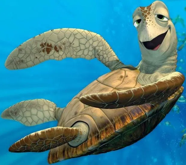 Crush The Sea Turtle ||Finding Nemo/Dory