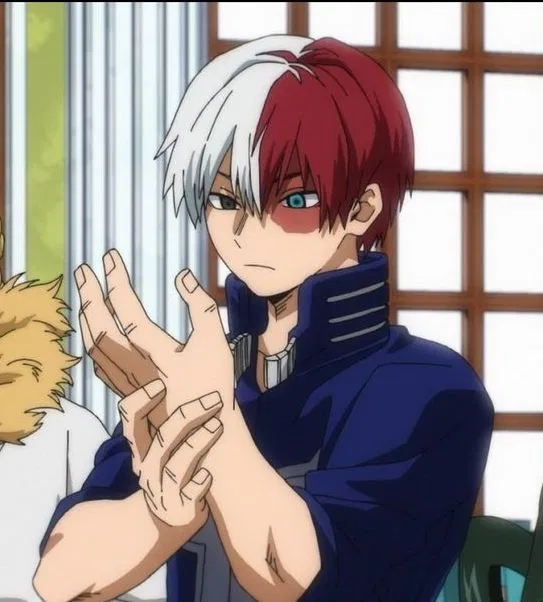 Shoto Todoroki- MHA