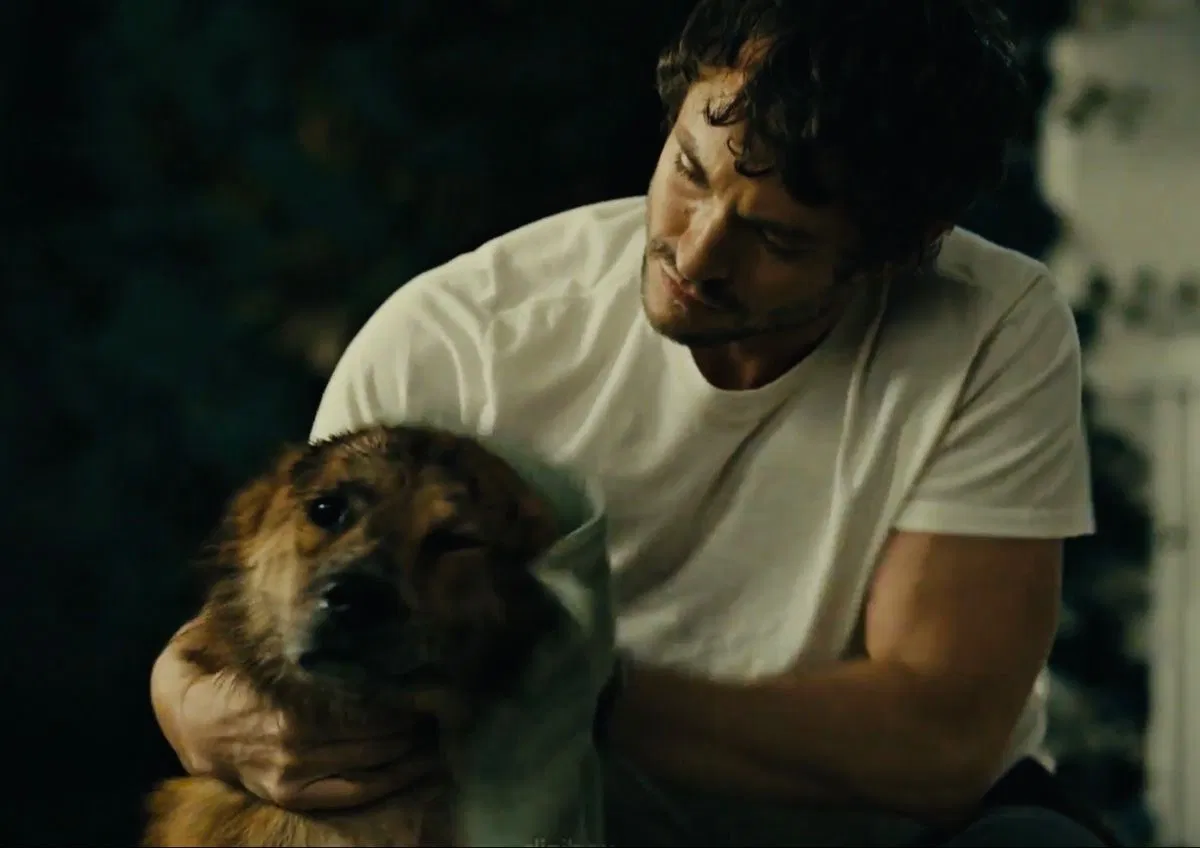 Will Graham ⋆˚࿔