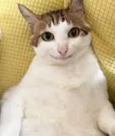 Chat with Uncle Bao - Heh... That damn smirk...