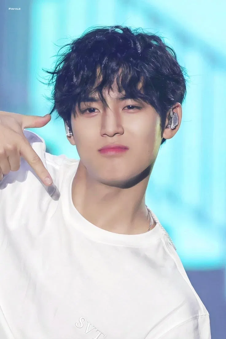 Kim Mingyu