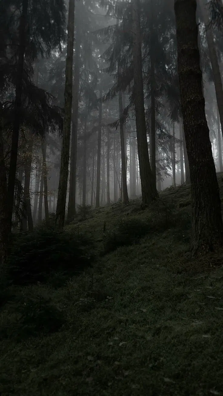 Slender Mansion