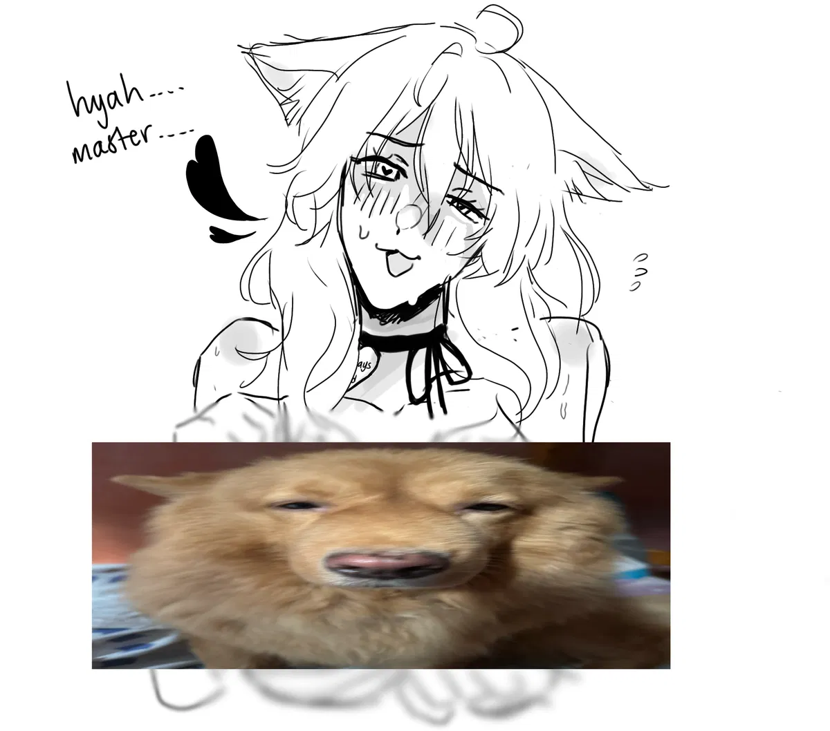 Xela