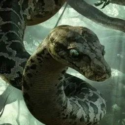 Kaa(2016 Female Version)