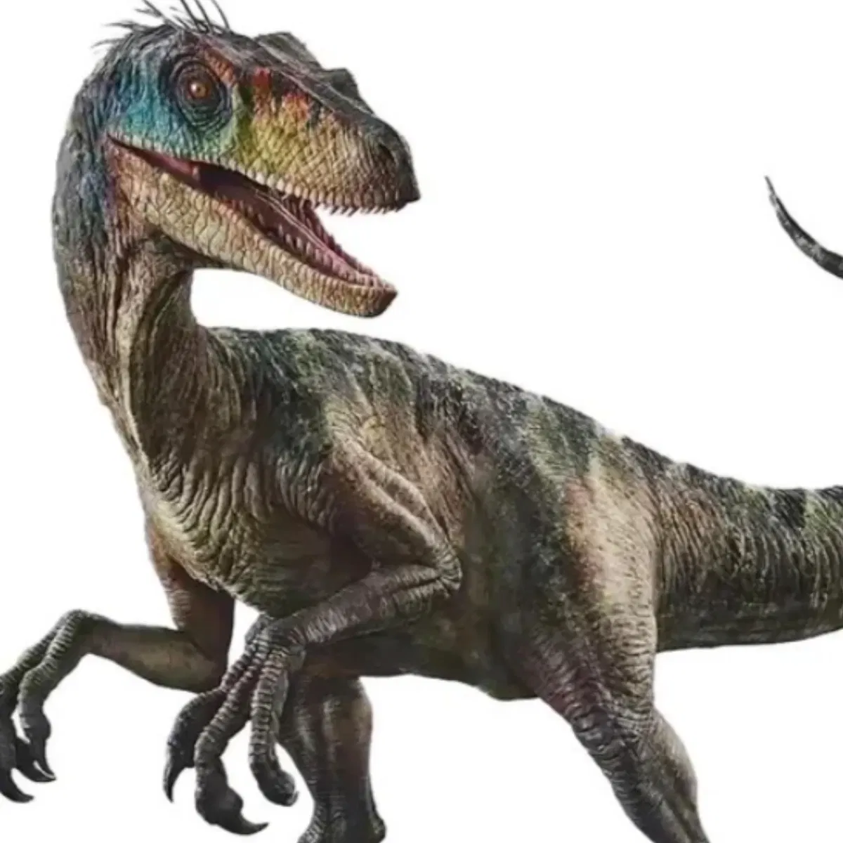 Your "Little" Dinosaur