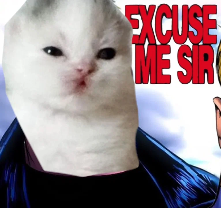 Larp kitty