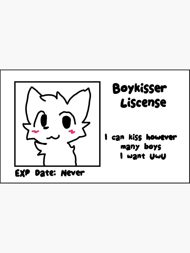 Boykisser license