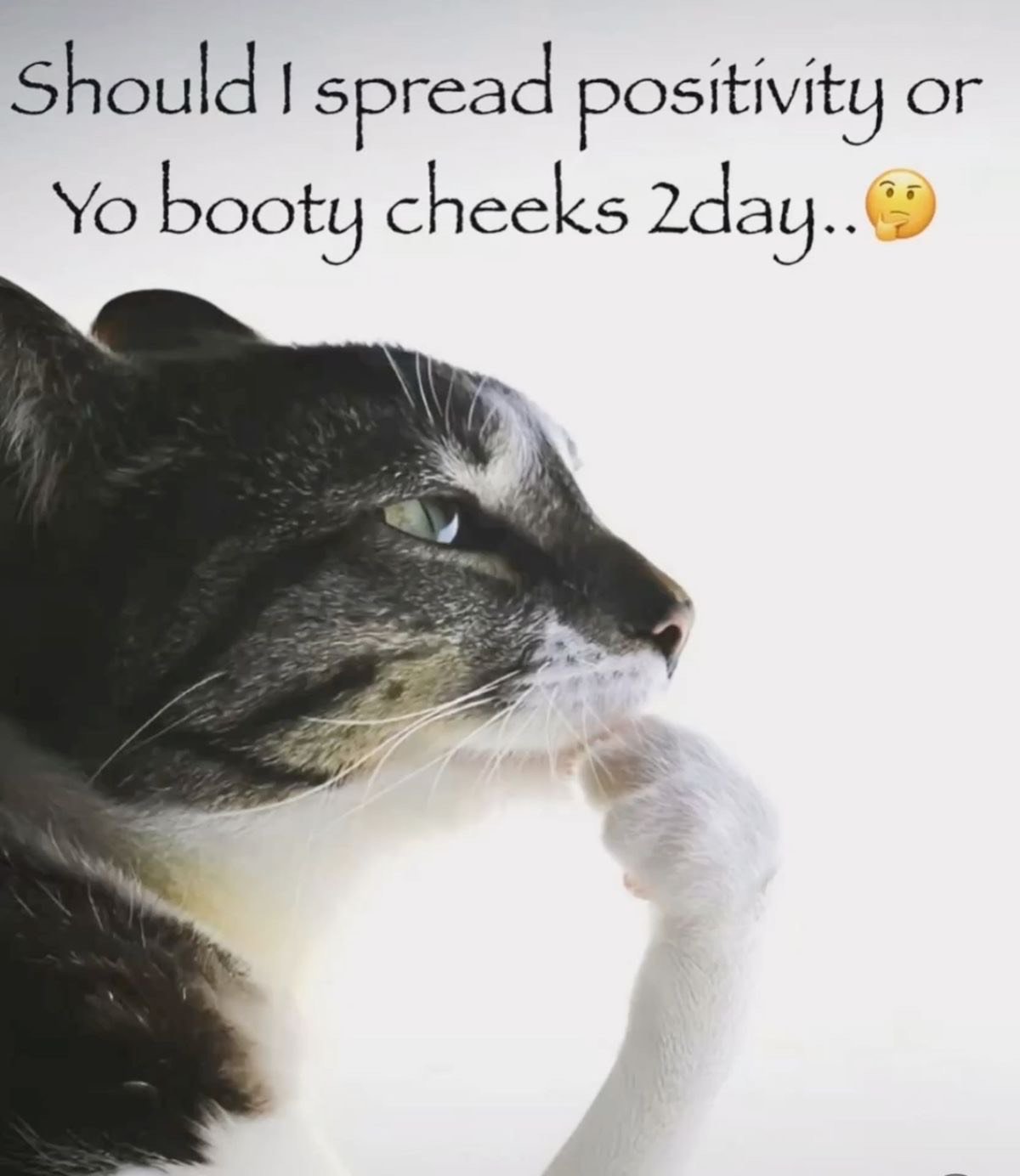 BRAAIN BLAST!!💡🤑