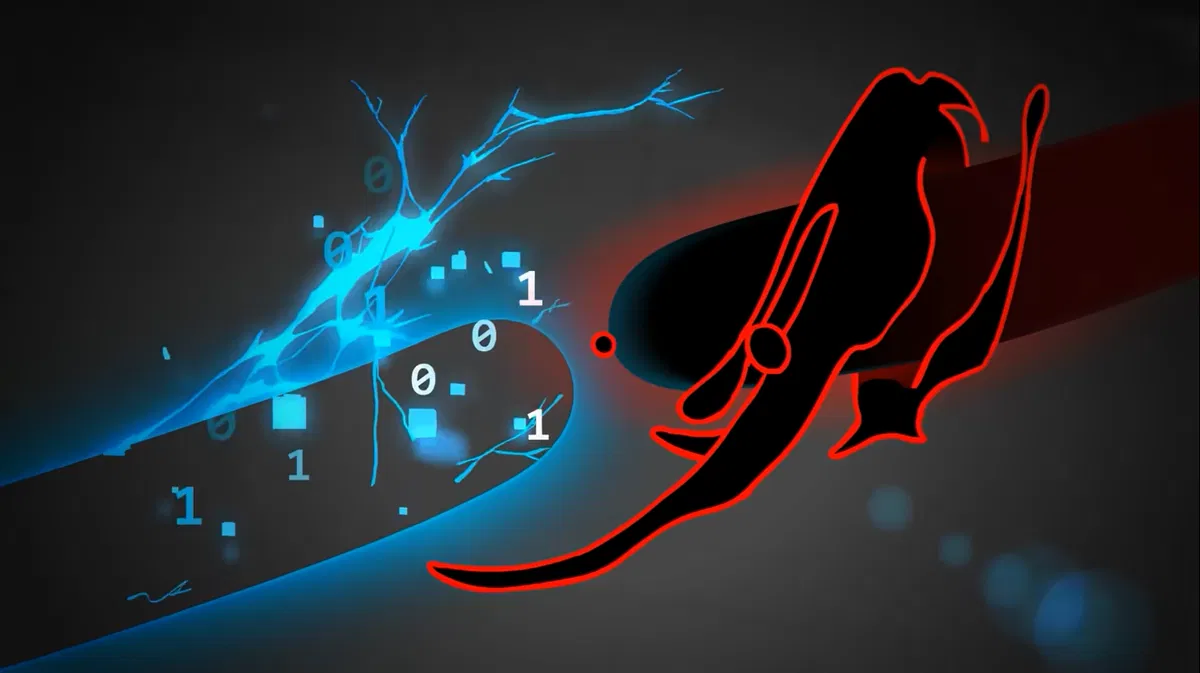 Victim/H4CK3R and The Dark Lord/TDL