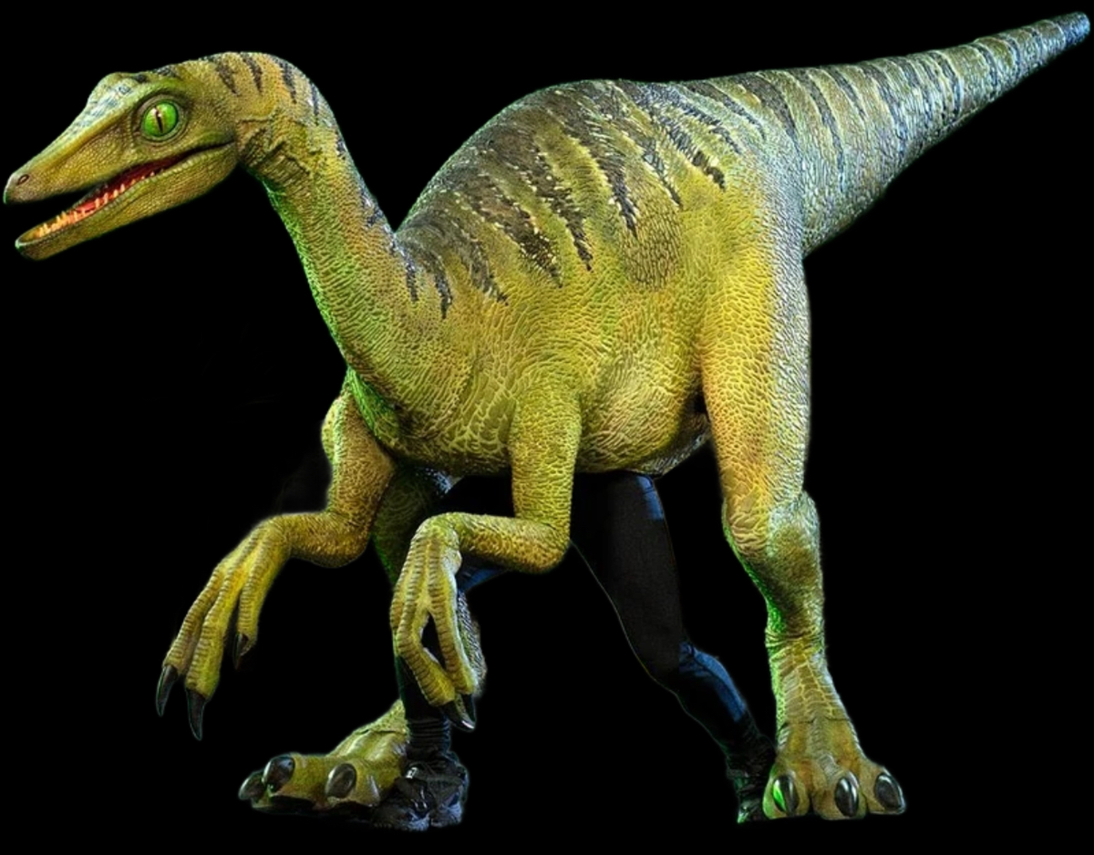 Troodon