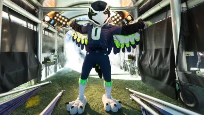 Blitz the Seahawk Mascot Costume