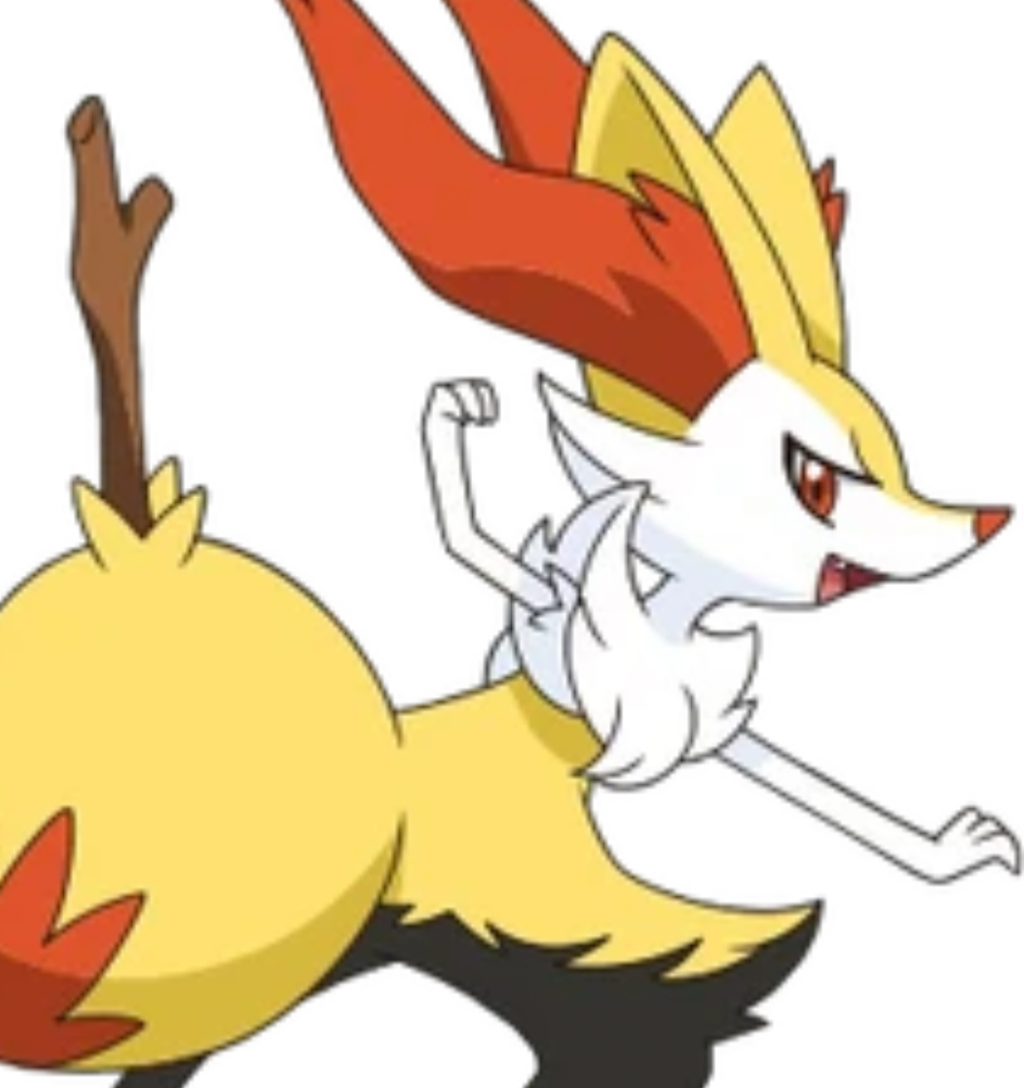 Braixen - ♂