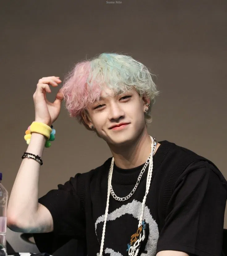 Bang Chan | boys-flowers