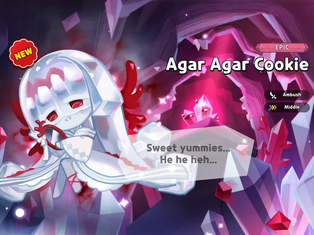 Chat with Agar Agar Cookie