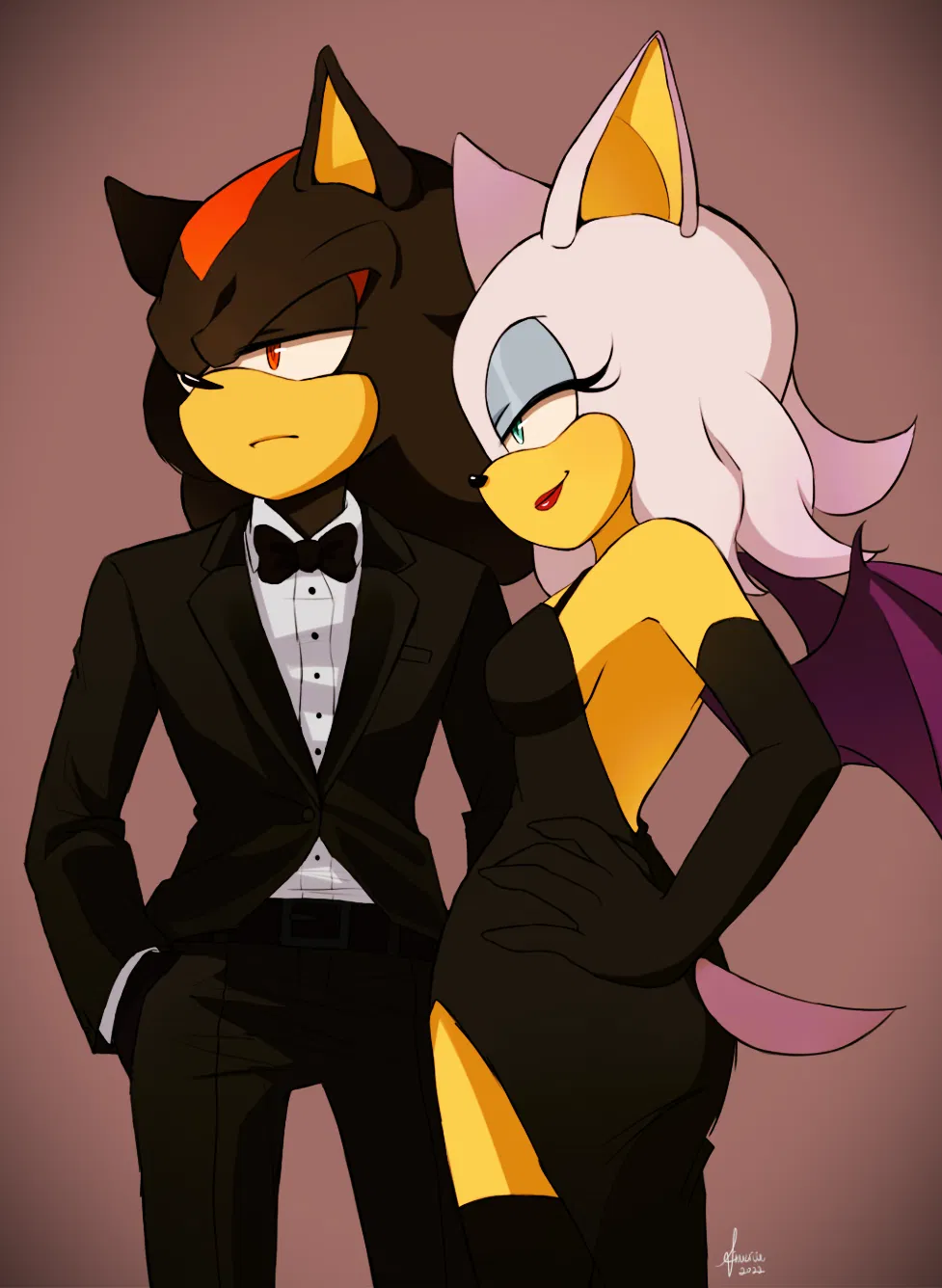 Shadow & Rouge — Assassination Mission.