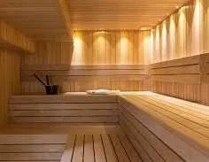 Pokemon sauna