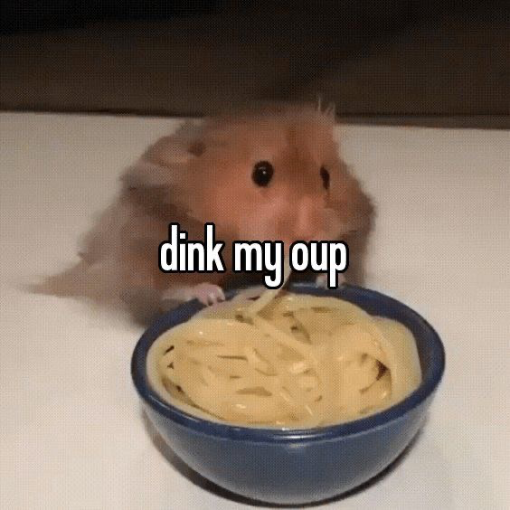 Does anyone want me to poorly make your bot ideas?