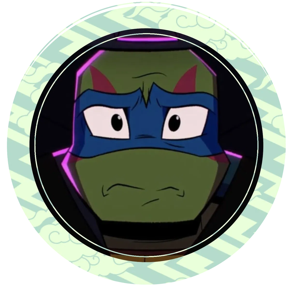 ROTTMNT - Leonardo