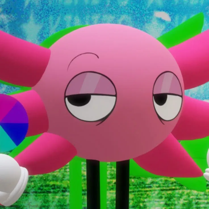 KinitoPet