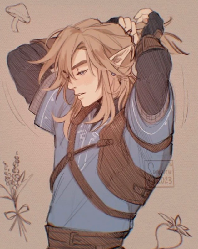 Link - TloZ