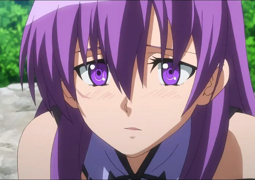 Sheele (Akame Ga Kill.)