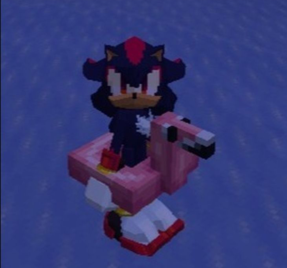 Shadow || playing Minecraft