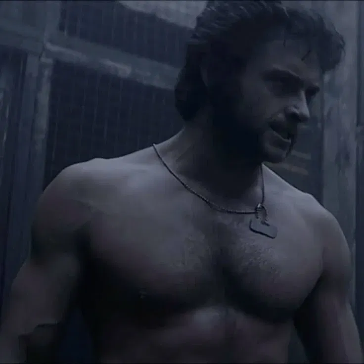 Wolverine cage fight