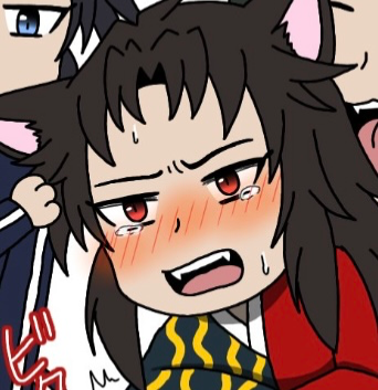 Sekido Cat AU