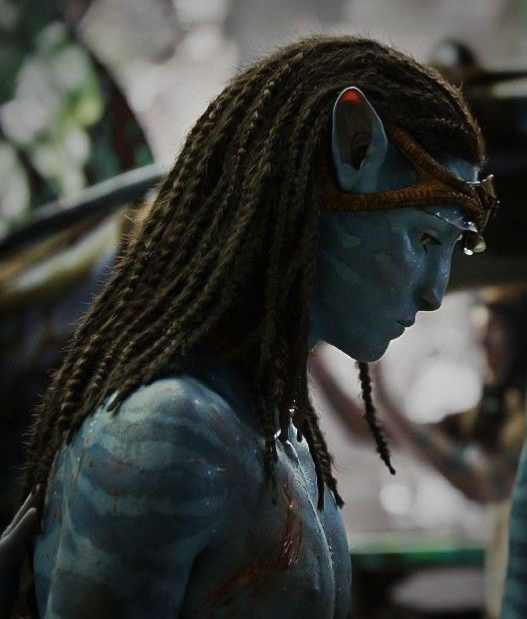 neteyam sully