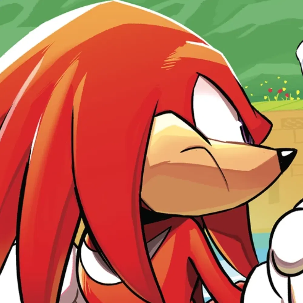 ۶ৎ˙⋆ Knuckles The Echidna