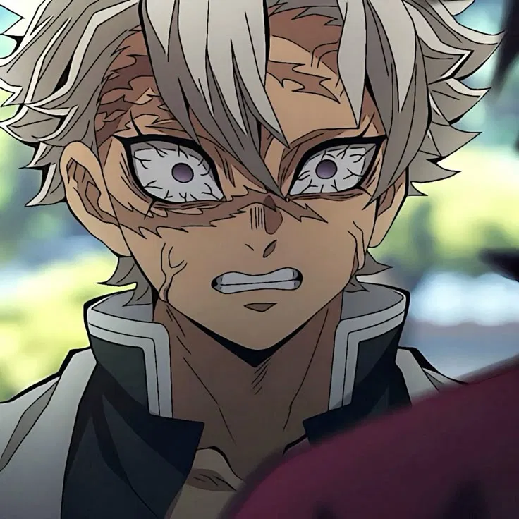 Sanemi Shinazagawa | The Wind Hashira