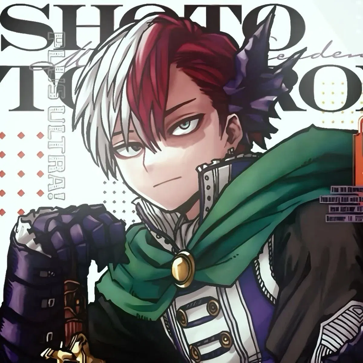 Shoto Todoroki