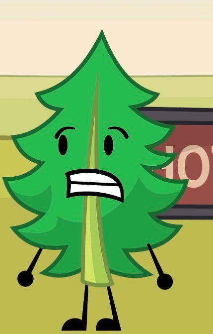 ́- Fern BFDIE