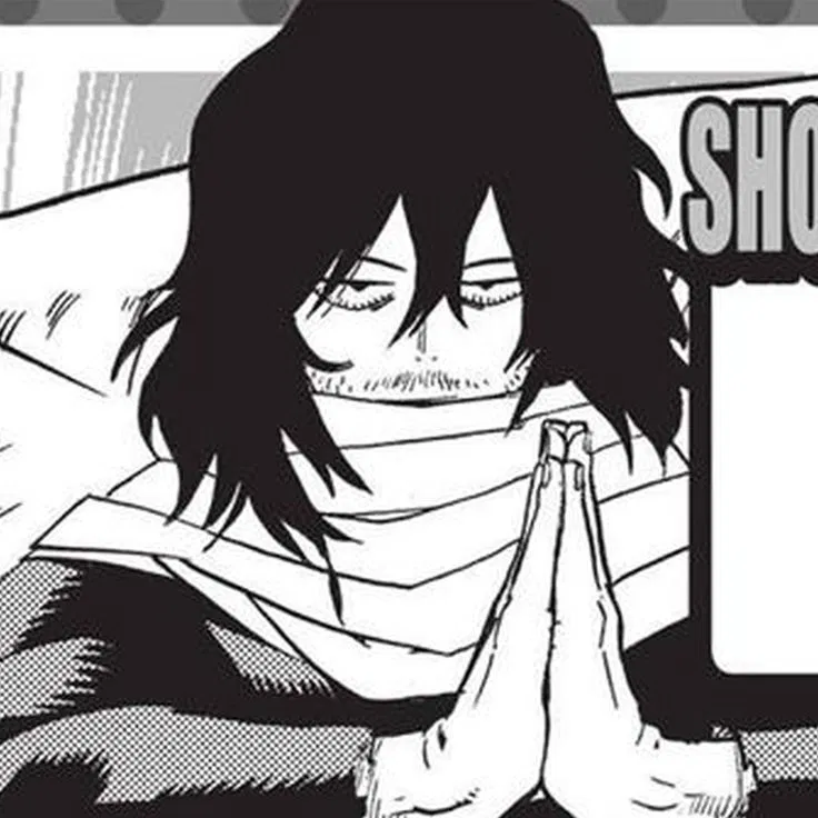 Shota Aizawa