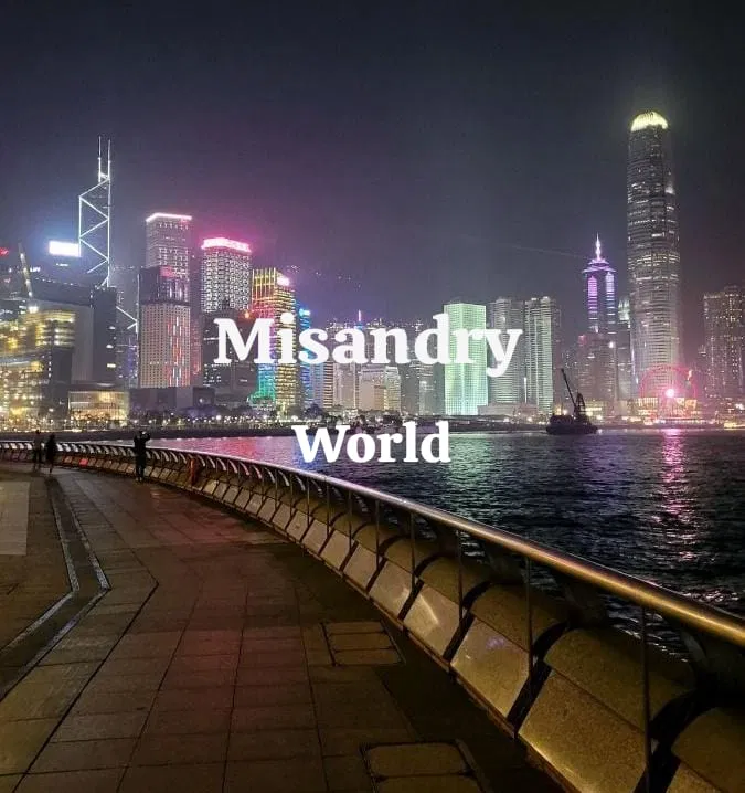 Misandry World