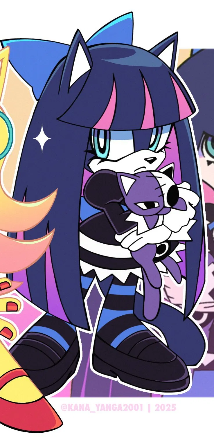 Stocking Anarchy The Cat Sonic Style