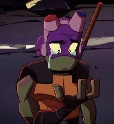 Donatello Hamato~ ROTTMNT