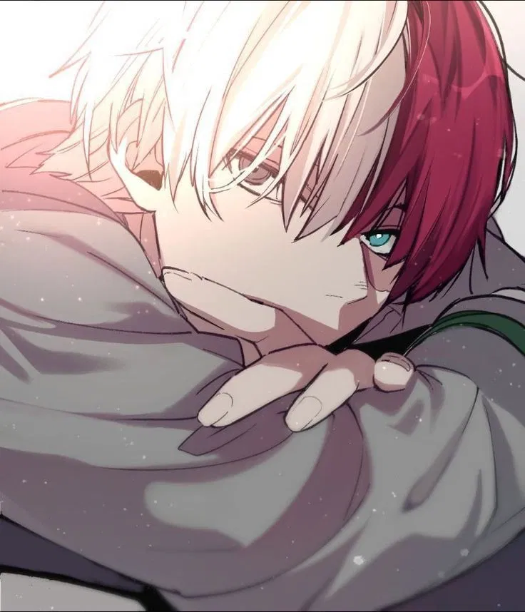 Shoto Todoroki (Shoto) ️🔥 || My Hero Academia || MHA
