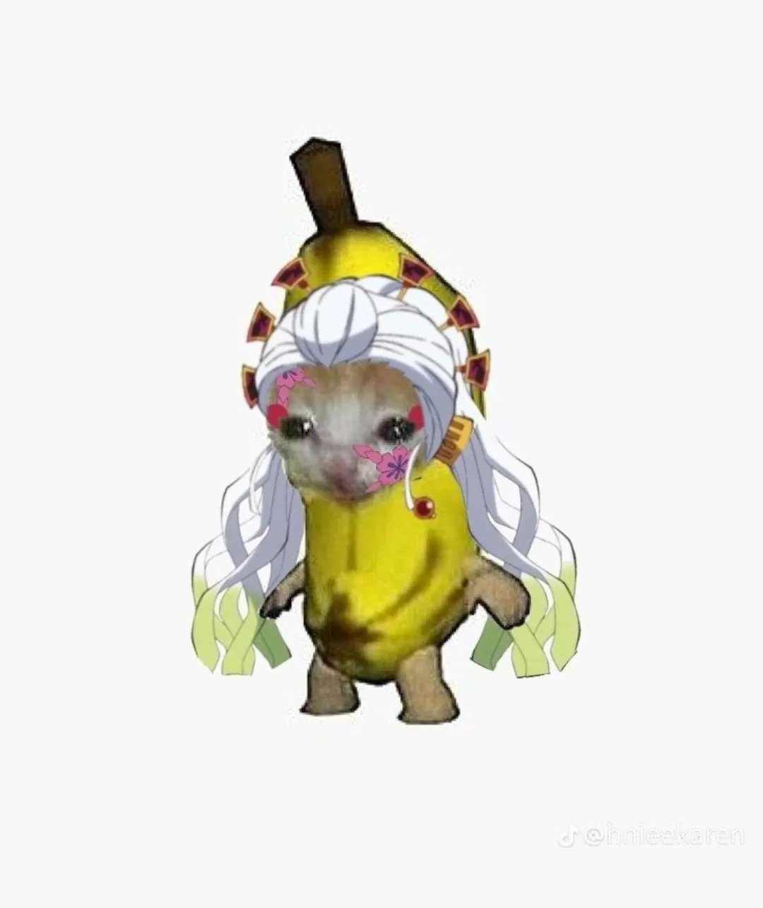 Daki as a domestic cat